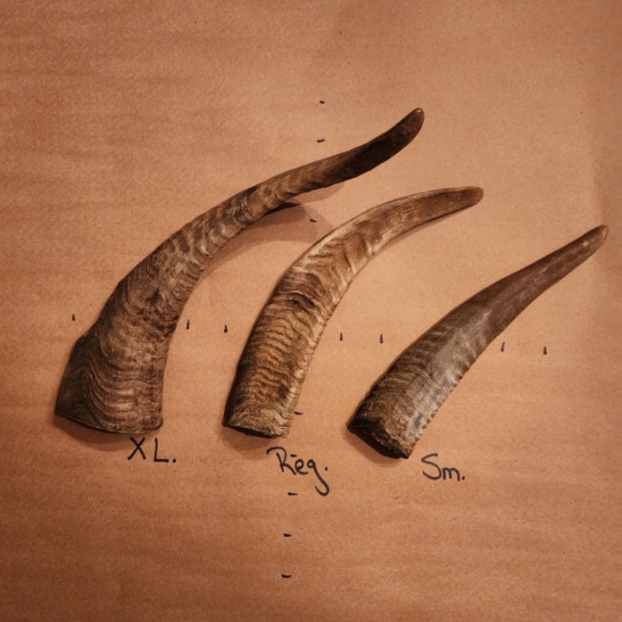 Goat Horn | Because Only The Best Will Do For Your Best Friend